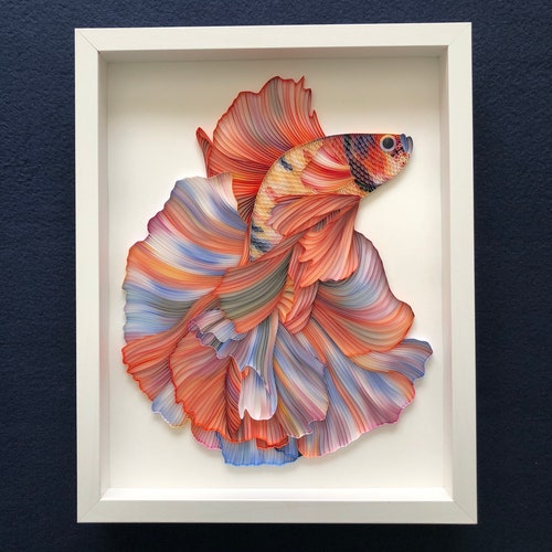 Quilled Fish Art Betta Fish 3D Framed Paper Painting - Etsy