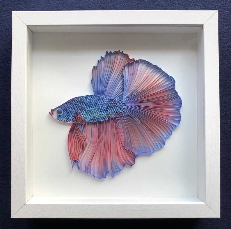 Quilled Fish Art Betta Fish 3D Framed Paper Art Covered - Etsy