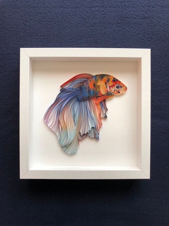Quilled Fish Art Betta Fish 3D Framed Paper Art Covered - Etsy