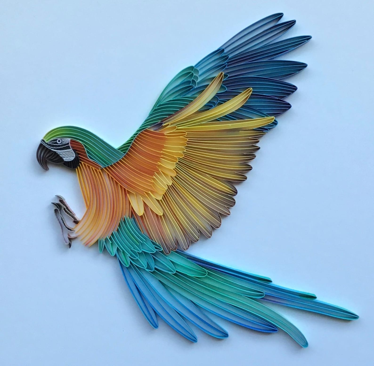 Quilled Bird, Macaw Parrot, 3D Framed Paper Art, Covered With Glass ...