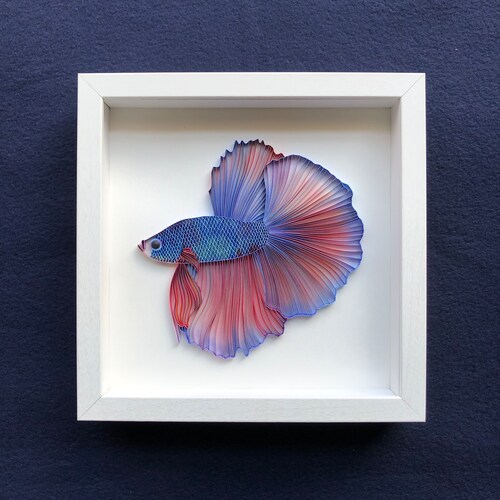 Quilled Fish Art Betta Fish 3D Framed Paper Art Covered - Etsy