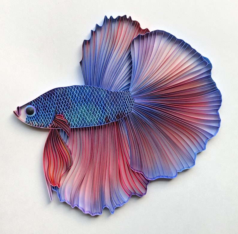 Quilled Fish Art Betta Fish 3D Framed Paper Art Covered - Etsy