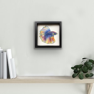 Quilled Fish Art, Betta Fish, 3D Framed Paper Painting, Covered With ...