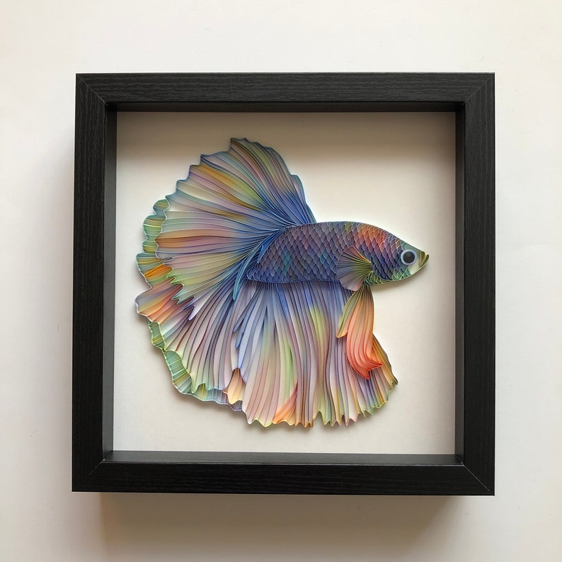 Quilled Fish Art Betta Fish 3D Framed Paper Painting | Etsy UK