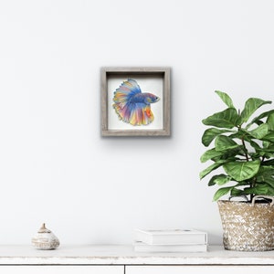 Quilled Fish Art, Betta Fish, 3D Framed Paper Painting, Covered With ...