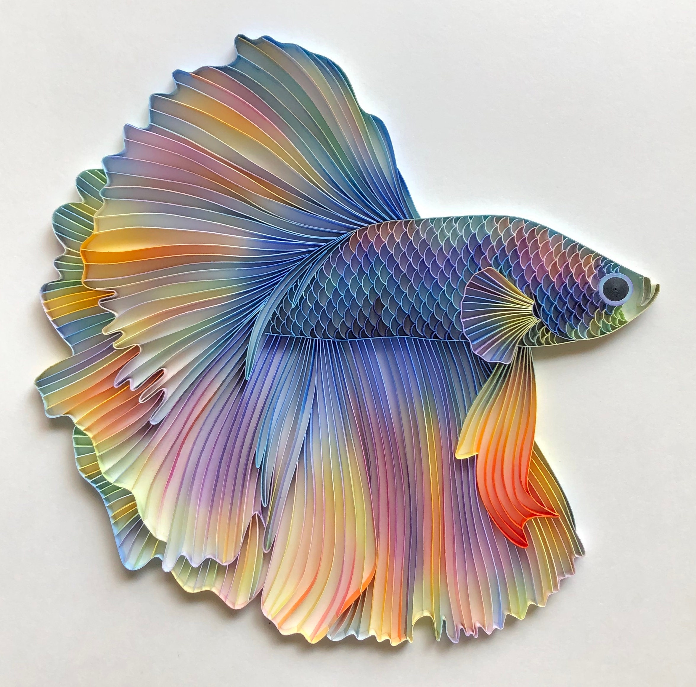 Quilled Fish Art Betta Fish 3D Framed Paper Painting - Etsy Canada