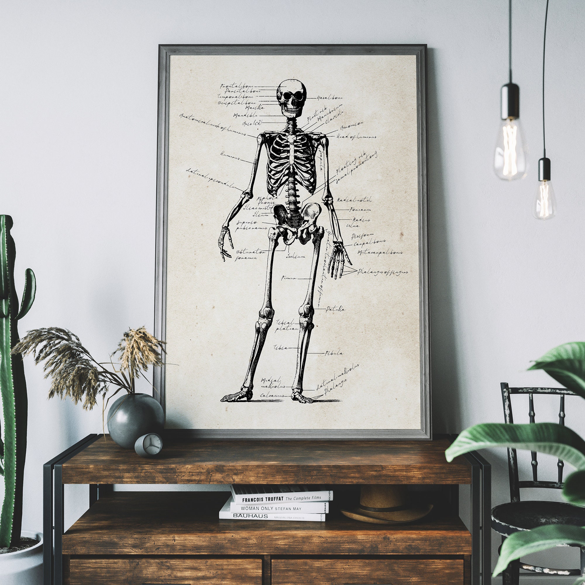 Human Skeleton Drawings Medical Wall Art Set Printable - Etsy