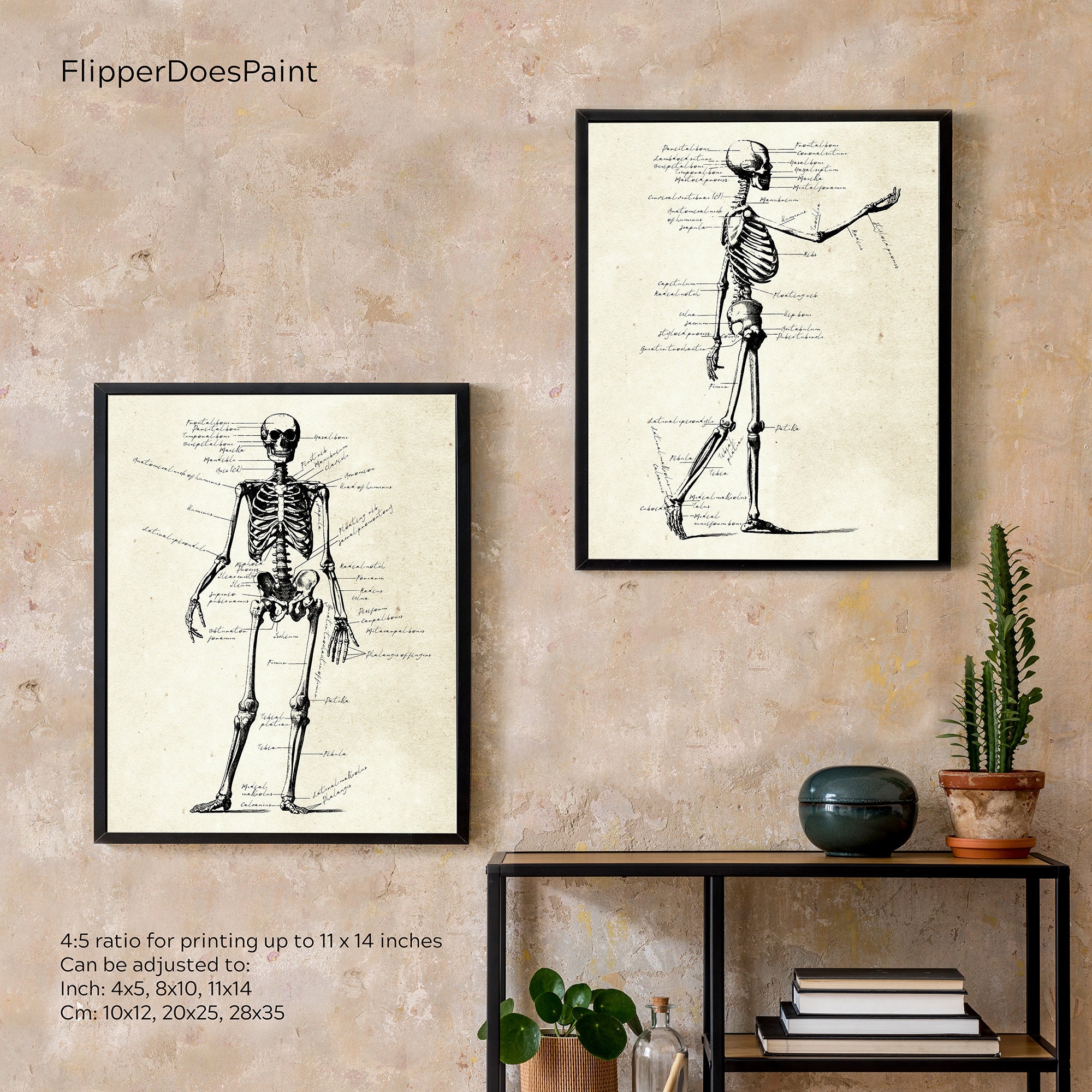 Human Skeleton Drawings, Medical Wall Art Set, Printable Anatomy Art ...
