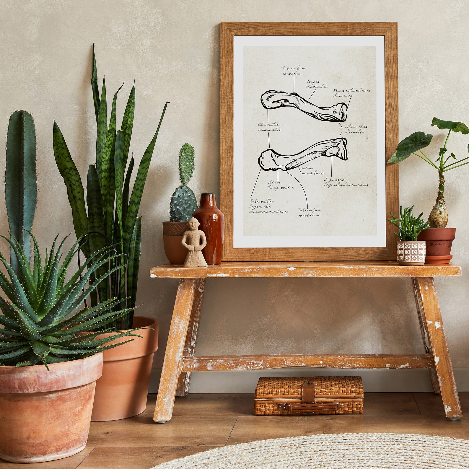 Clavicle Bone Drawing, Human Skeleton Drawing. Bone Sketch Posters ...
