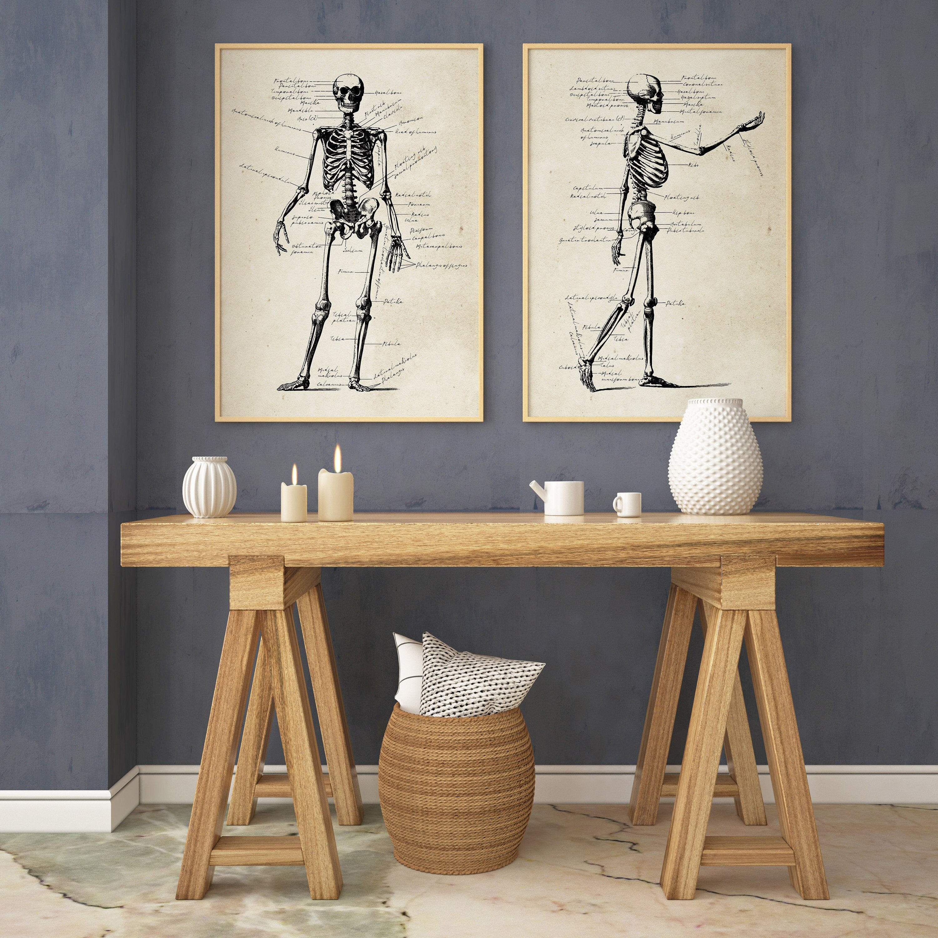 Human Skeleton Drawings, Medical Wall Art Set, Printable Anatomy Art ...