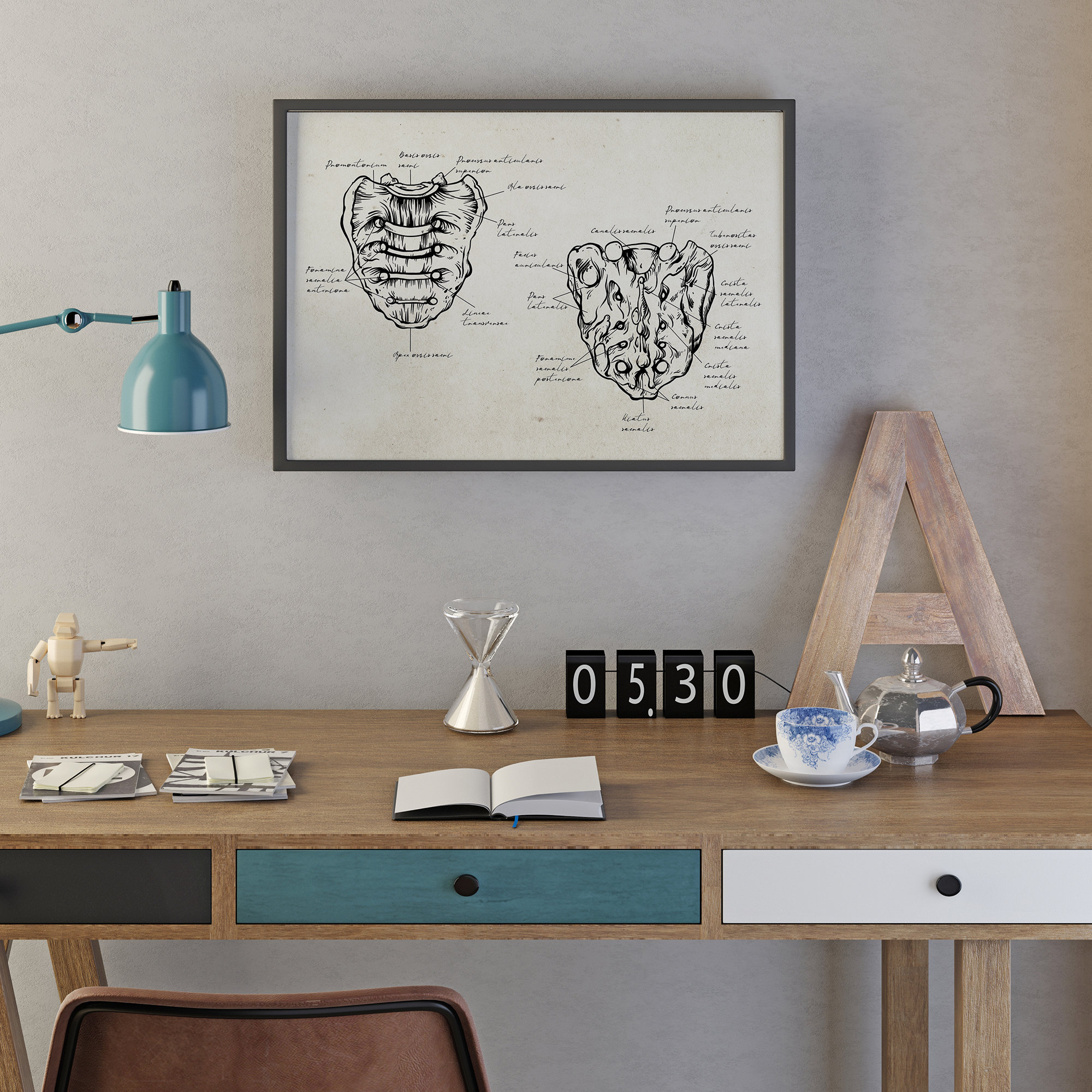 Human Skeleton Drawing, Medical Wall Art, Sacrum Print, Anatomy Art ...