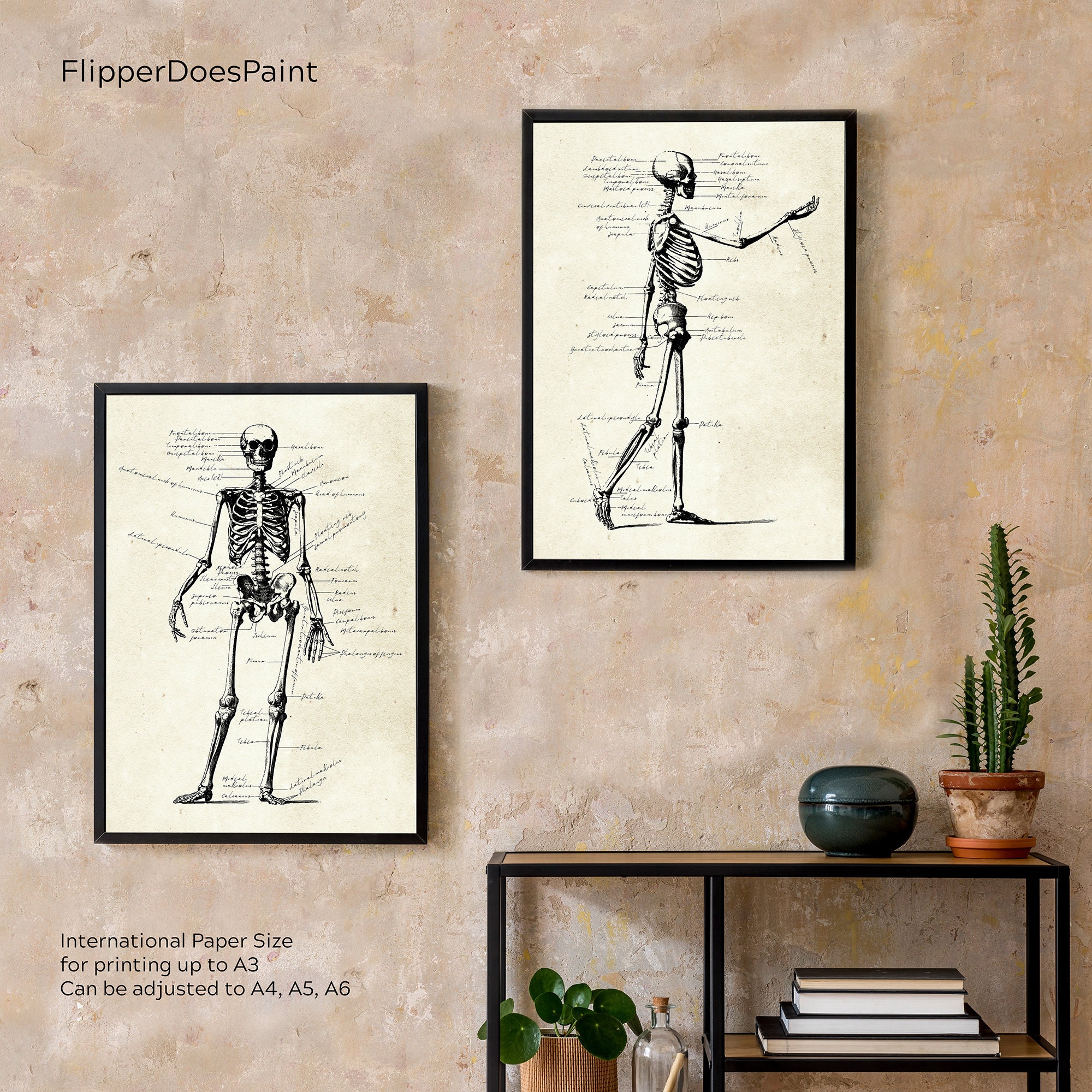 Human Skeleton Drawings, Medical Wall Art Set, Printable Anatomy Art ...