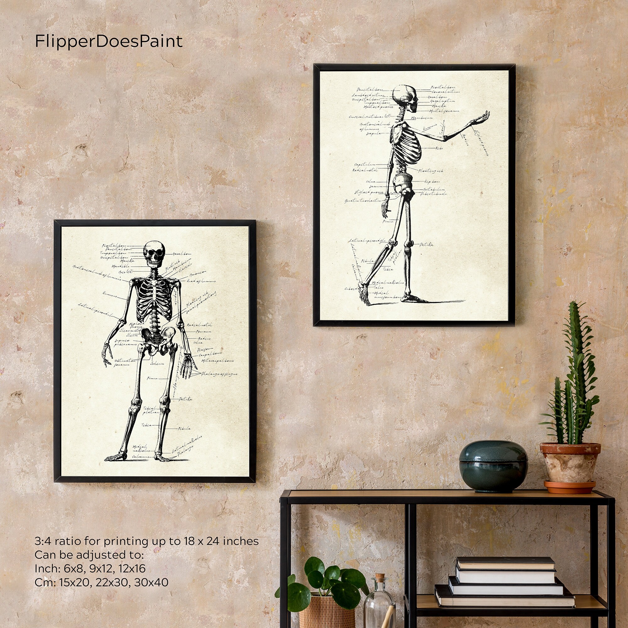 Human Skeleton Drawings, Medical Wall Art Set, Printable Anatomy Art ...