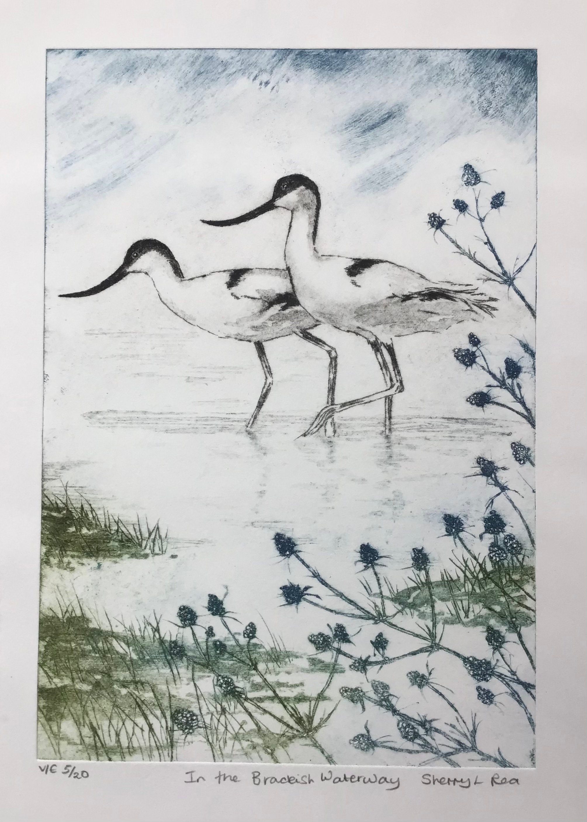 Avocets, Wading in Brackish Water, & Sea Holly. Original Handmade Art ...