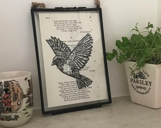 Nightingale. Linocut Printmaking of Bird on Nightingale Poem. Altered ...