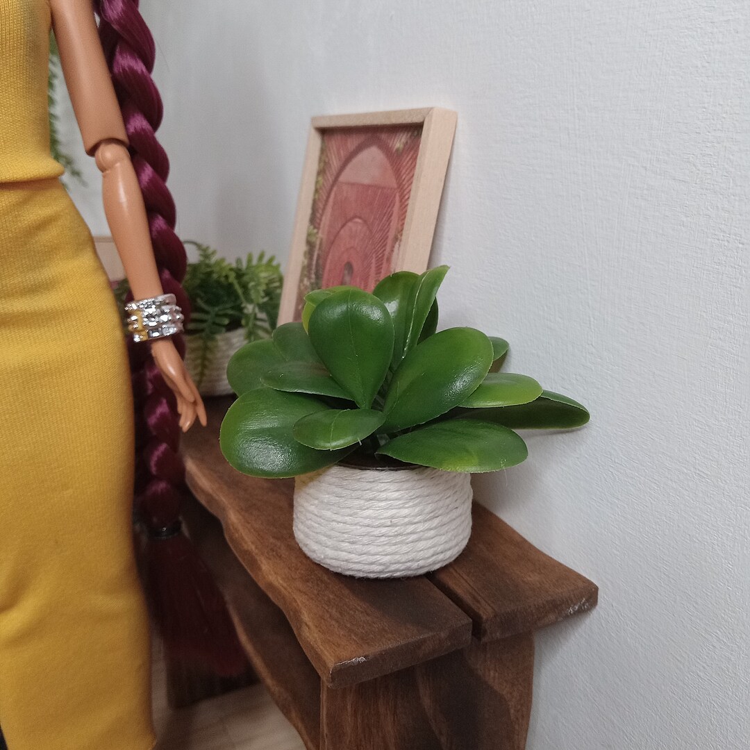 1:6 Scale Doll House Plant, Miniature Plant, Doll Plants - Etsy