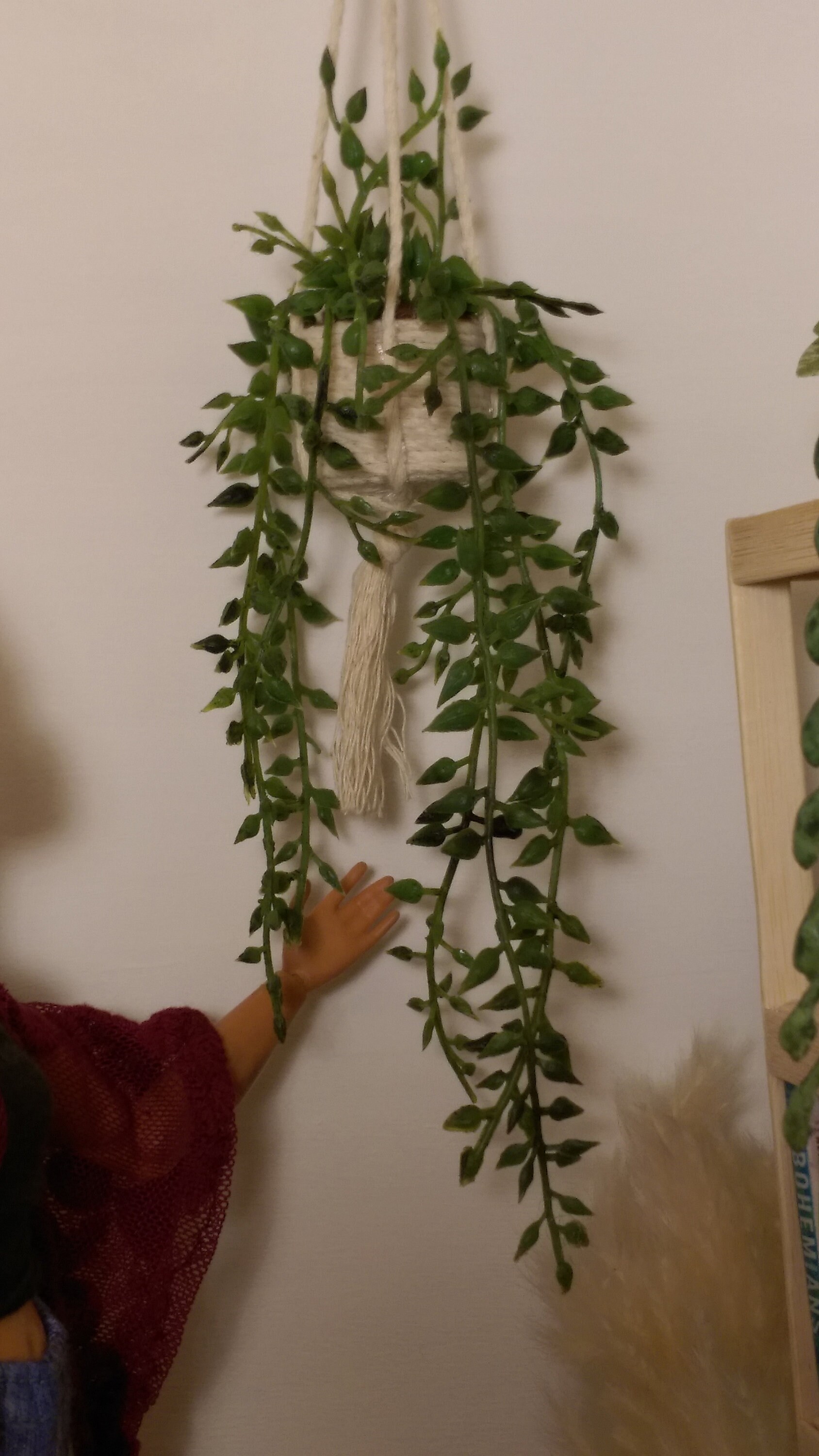 1:6 Scale Hanging Plant, Doll House Plant, Room Box Plant, Fashion Doll ...