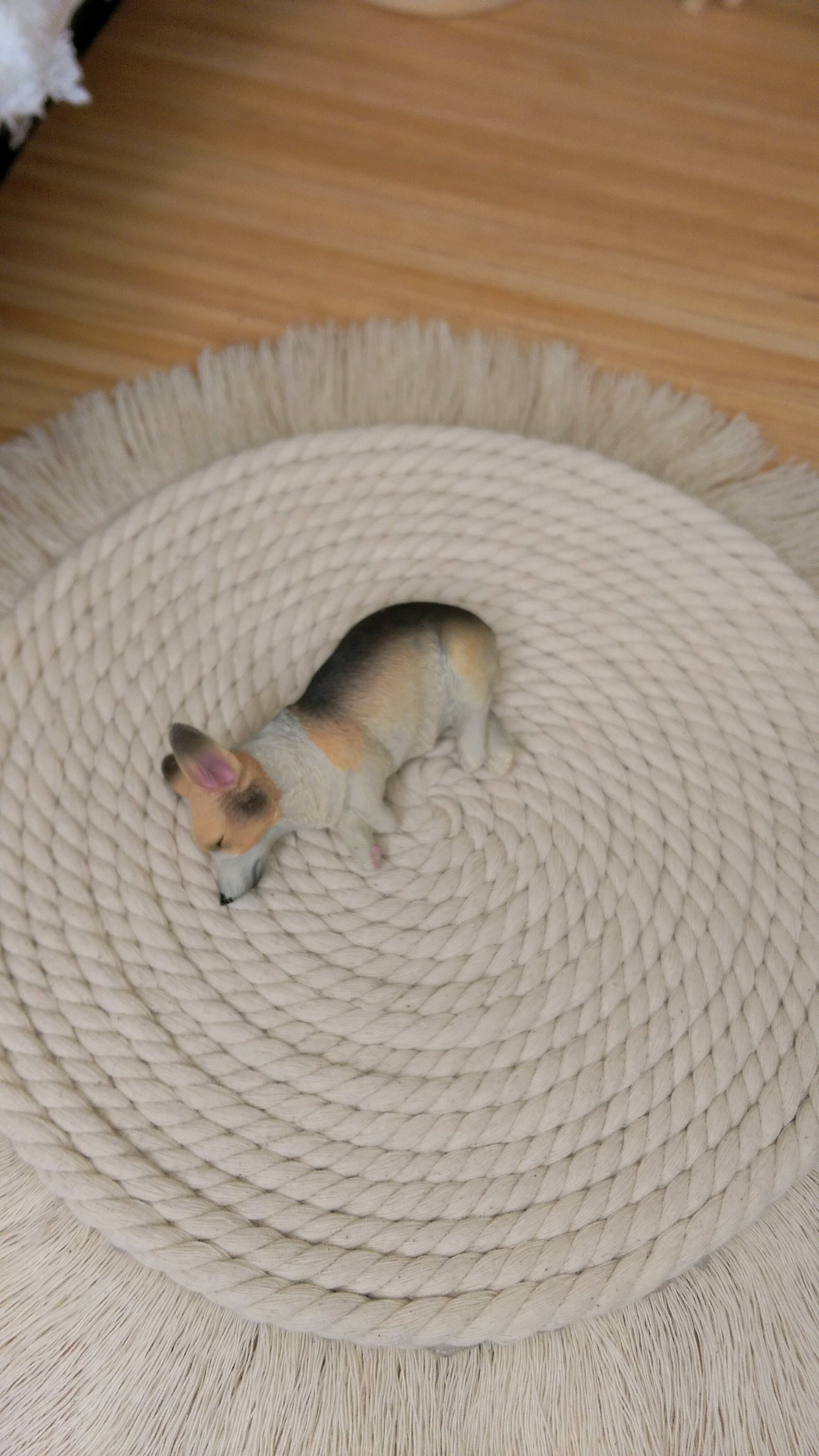 1:6 Scale Round Fringe Rug for Fashion Dolls Doll House Rug - Etsy