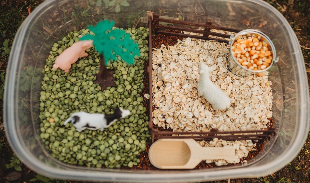 Farm Themed Sensory Rice Play Kit - Open Ended Play - Montessori ...