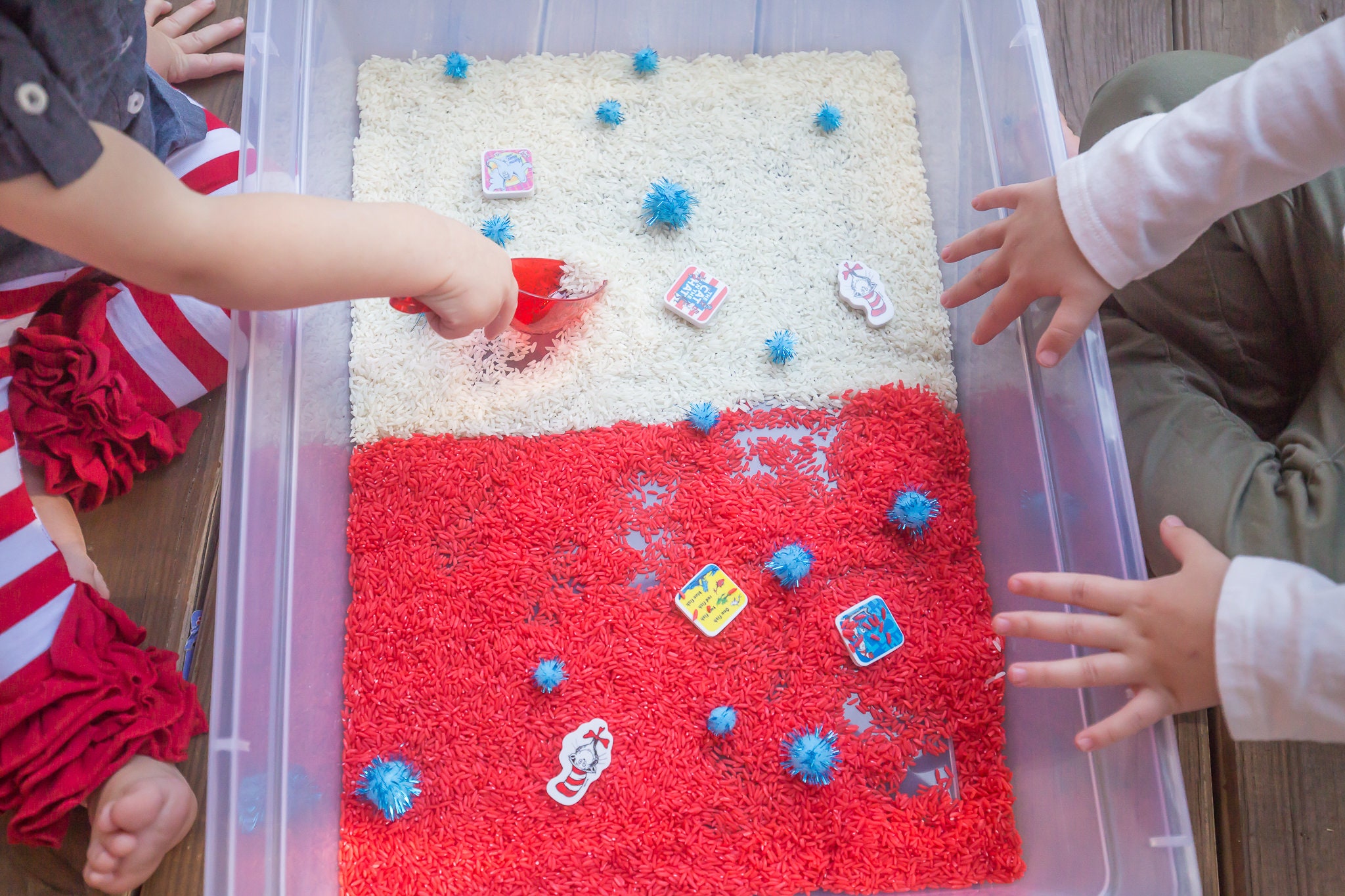 Dr. Seuss Sensory Rice Kit: Montessori Open Ended Play - Etsy