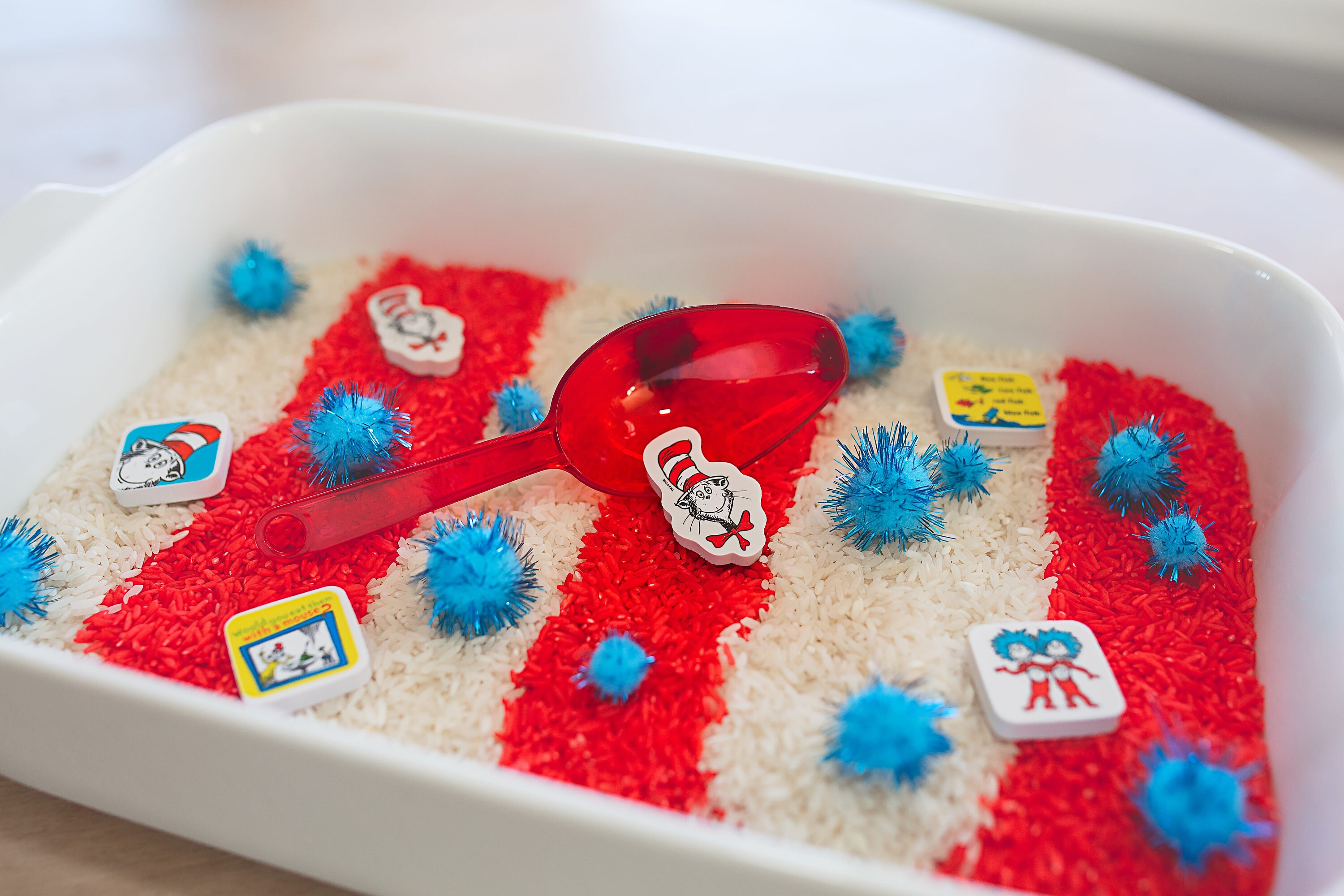 Dr. Seuss Themed Sensory Rice Play Kit - Dr. Seuss Week - Dr. Seuss ...