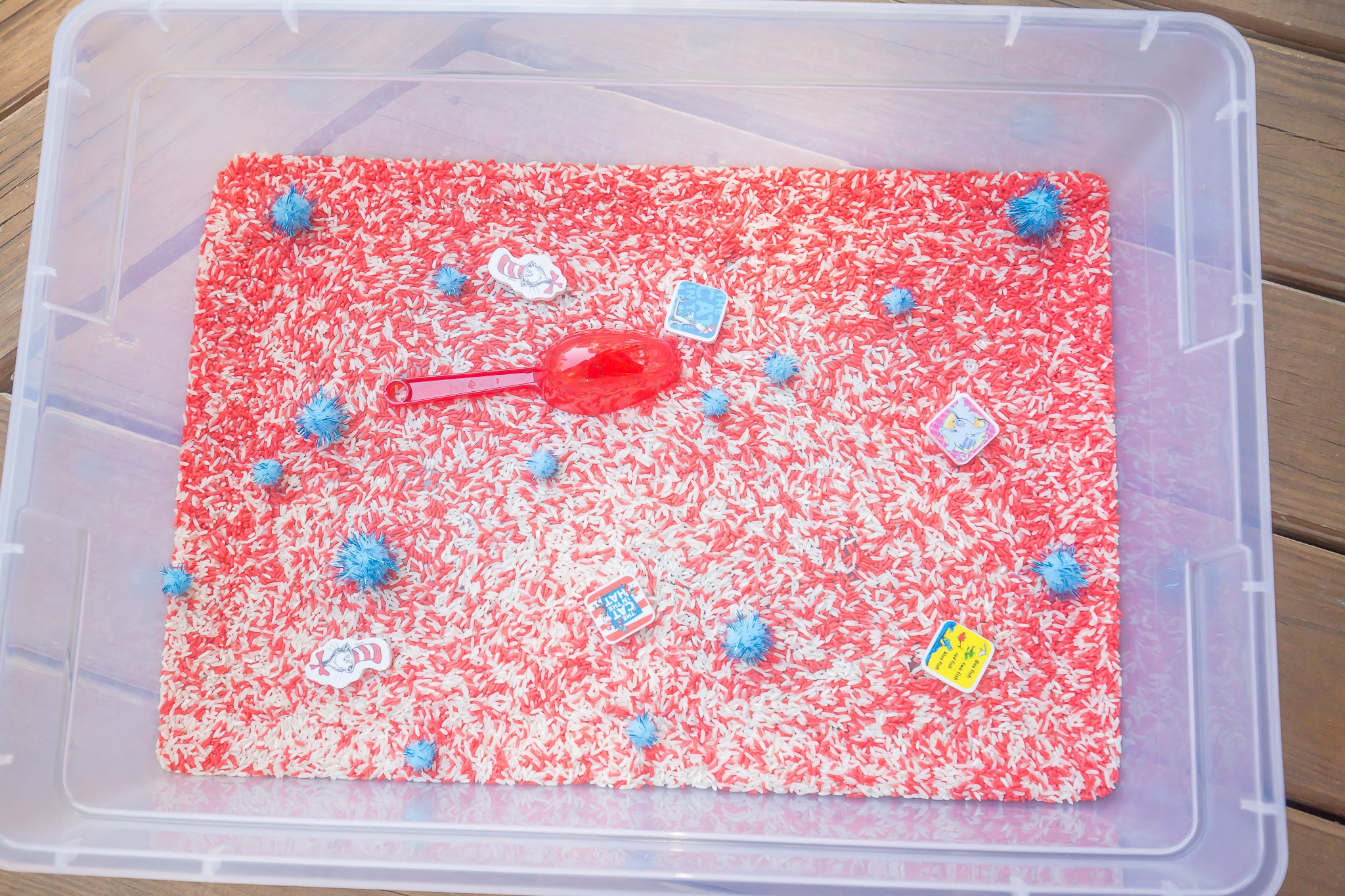 Dr. Seuss Sensory Rice Kit: Montessori Open Ended Play - Etsy