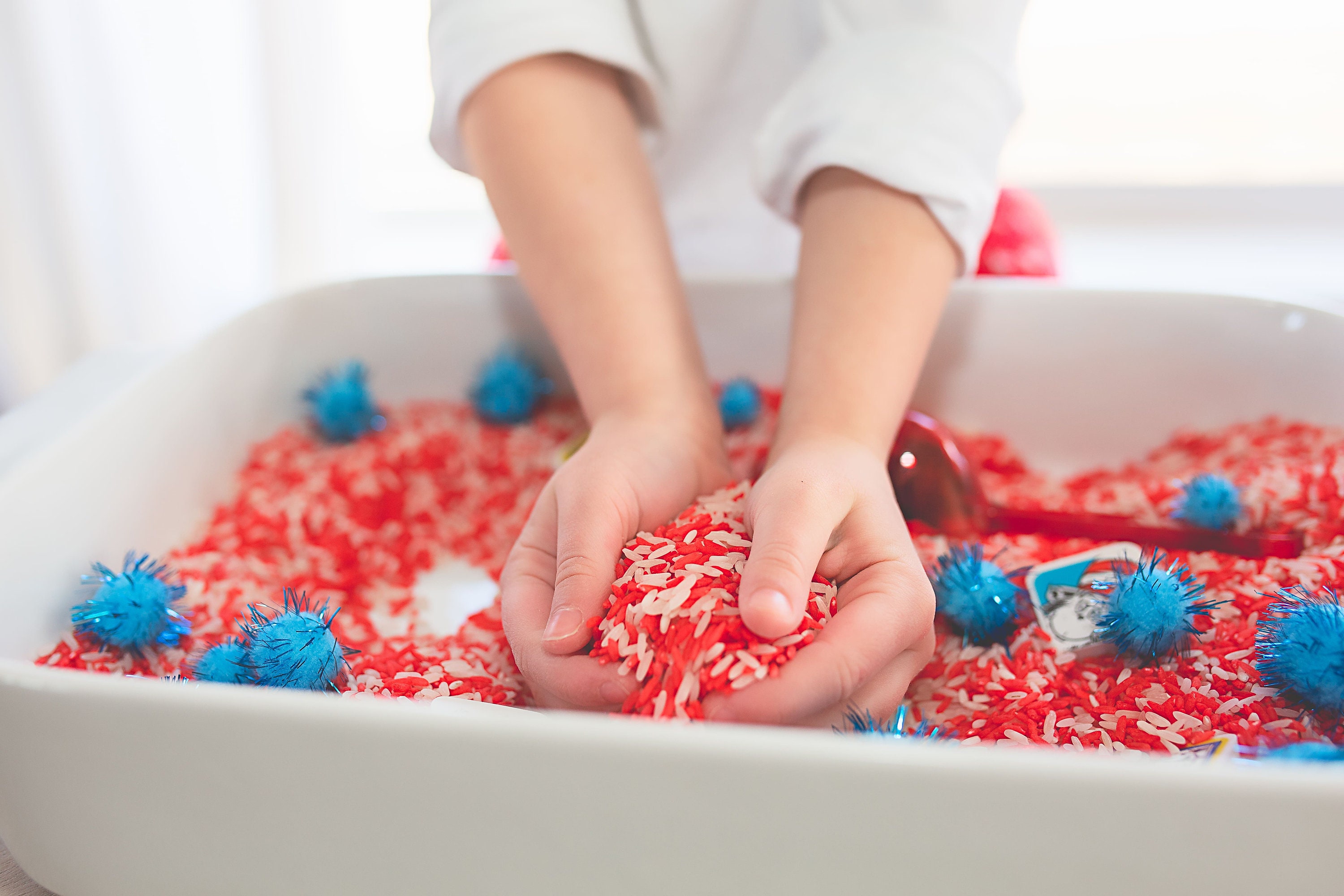 Dr. Seuss Sensory Rice Kit: Montessori Open Ended Play - Etsy