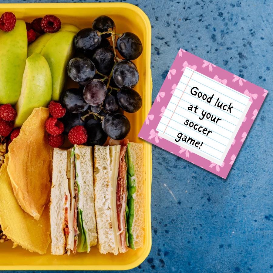 30 Lunch Box Notes – Printable Blank Cute Girly Designs | Handwritten ...