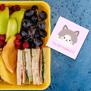 30 Lunch Notes for Girls – Printable - Cute Animal & Food Puns ...
