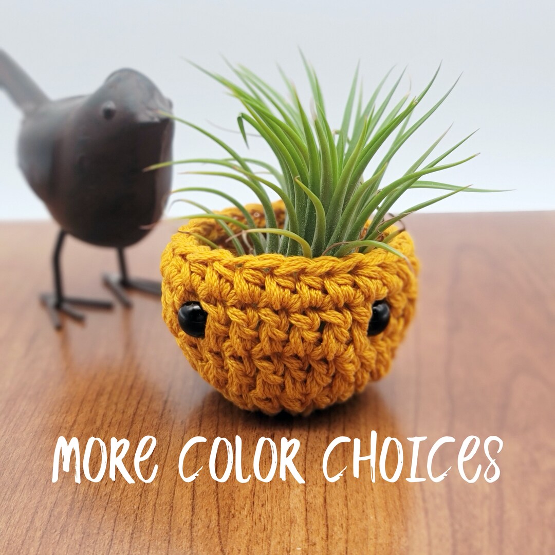 Unique Air Plant Holder, Pineapple, Small Planter, Ready to Ship, Small ...
