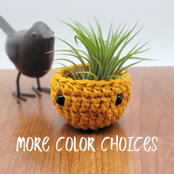 Small Pineapple Container - Etsy