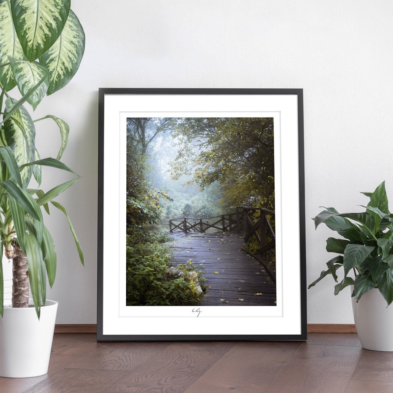 Limited Edition Photographs - Etsy