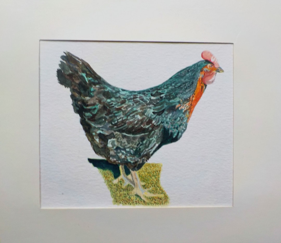 Hens in Watercolour, Two Paintings. - Etsy