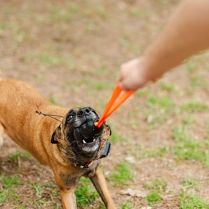 Kong Toy With Biothane Loop, Tug Toy, Ball Tug, K9 Reward, K9 Tug - Etsy