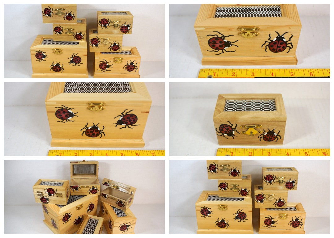 LADY BUGS Nothing but Lady Bugs Bug Box Critter Cage, Insect Catcher ...