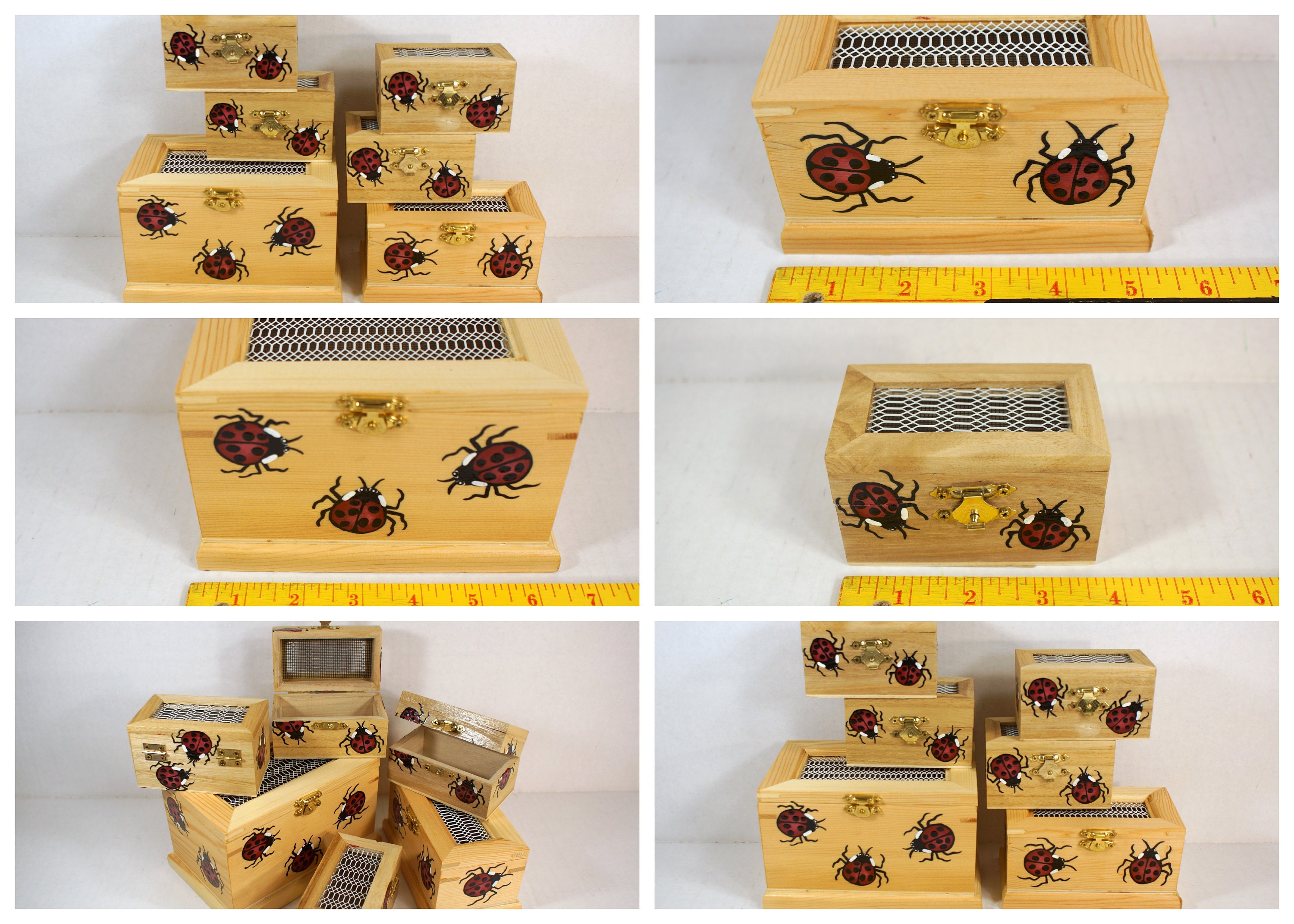 LADY BUGS Nothing but Lady Bugs Bug Box Critter Cage Insect | Etsy