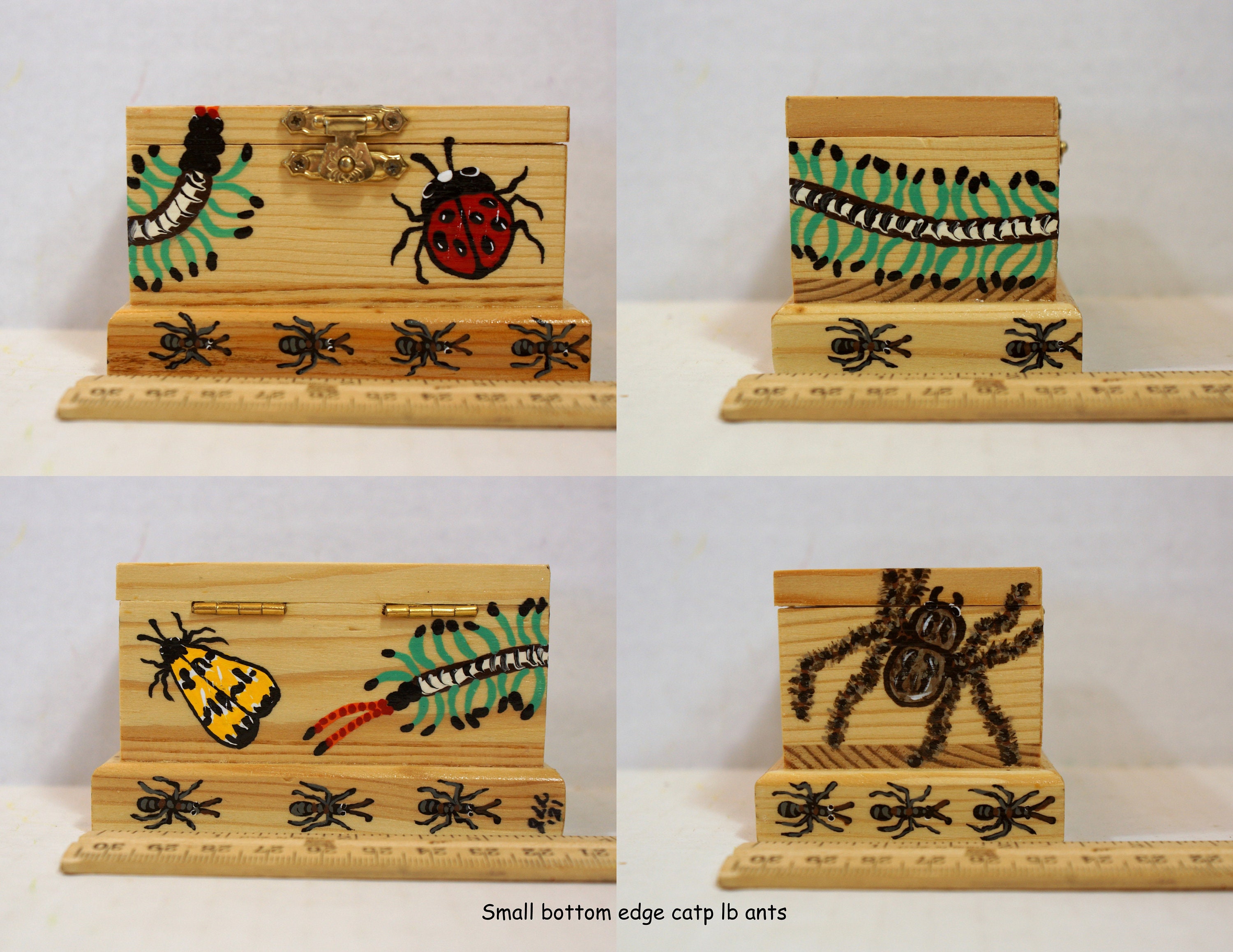 Bug Box Sm1 Critter Cage Insect Catcher Screened Bug Box | Etsy