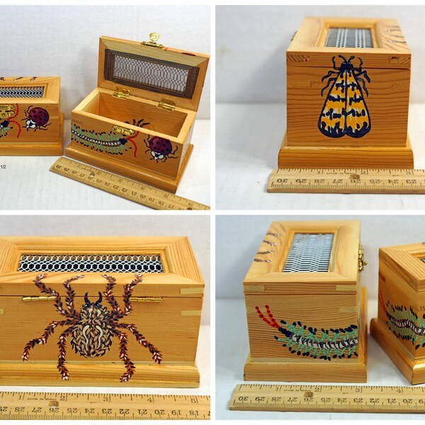 Bug Box - Etsy