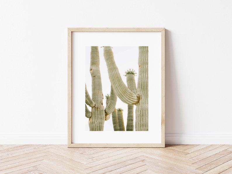 Cactus Print- INSTANT DOWNLOAD - Etsy