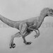 Dromaeosaur Raptor Original Graphite Art Piece - Etsy