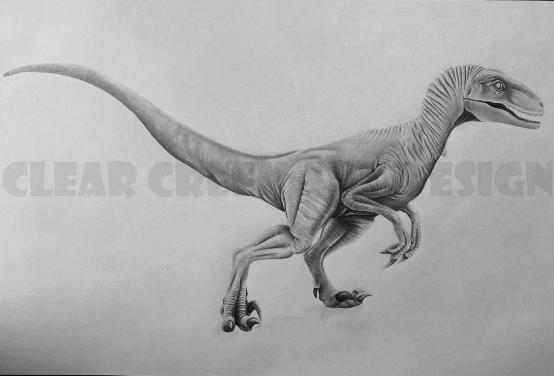 Dromaeosaur Raptor Original Graphite Art Piece - Etsy
