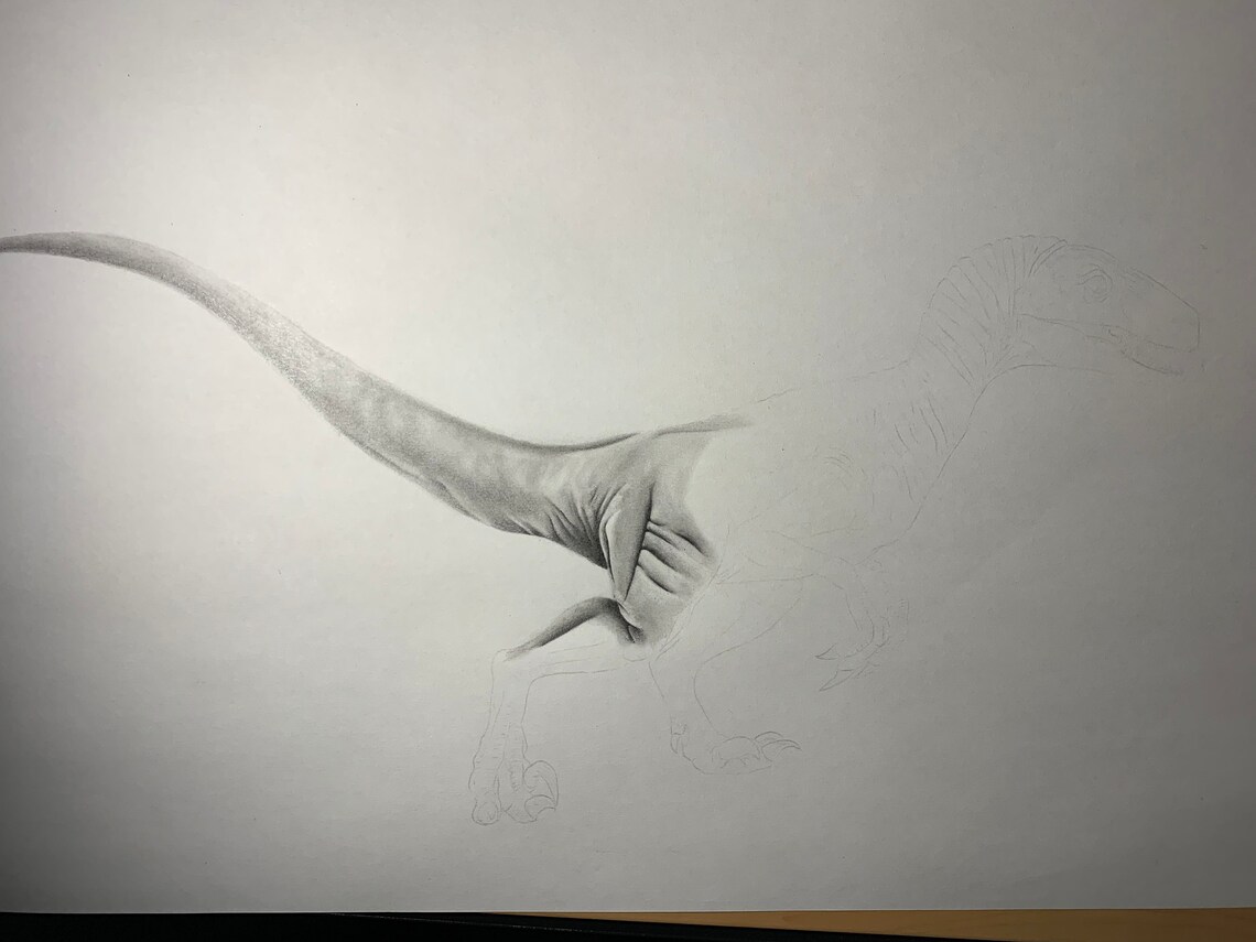 Dromaeosaur Raptor Original Graphite Art Piece - Etsy