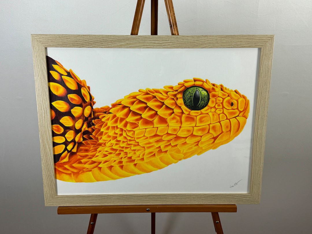 Golden Viper Original Premium Art Piece - Etsy
