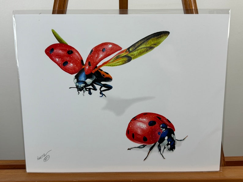 Ladybug Portrait Original Art Print - Etsy