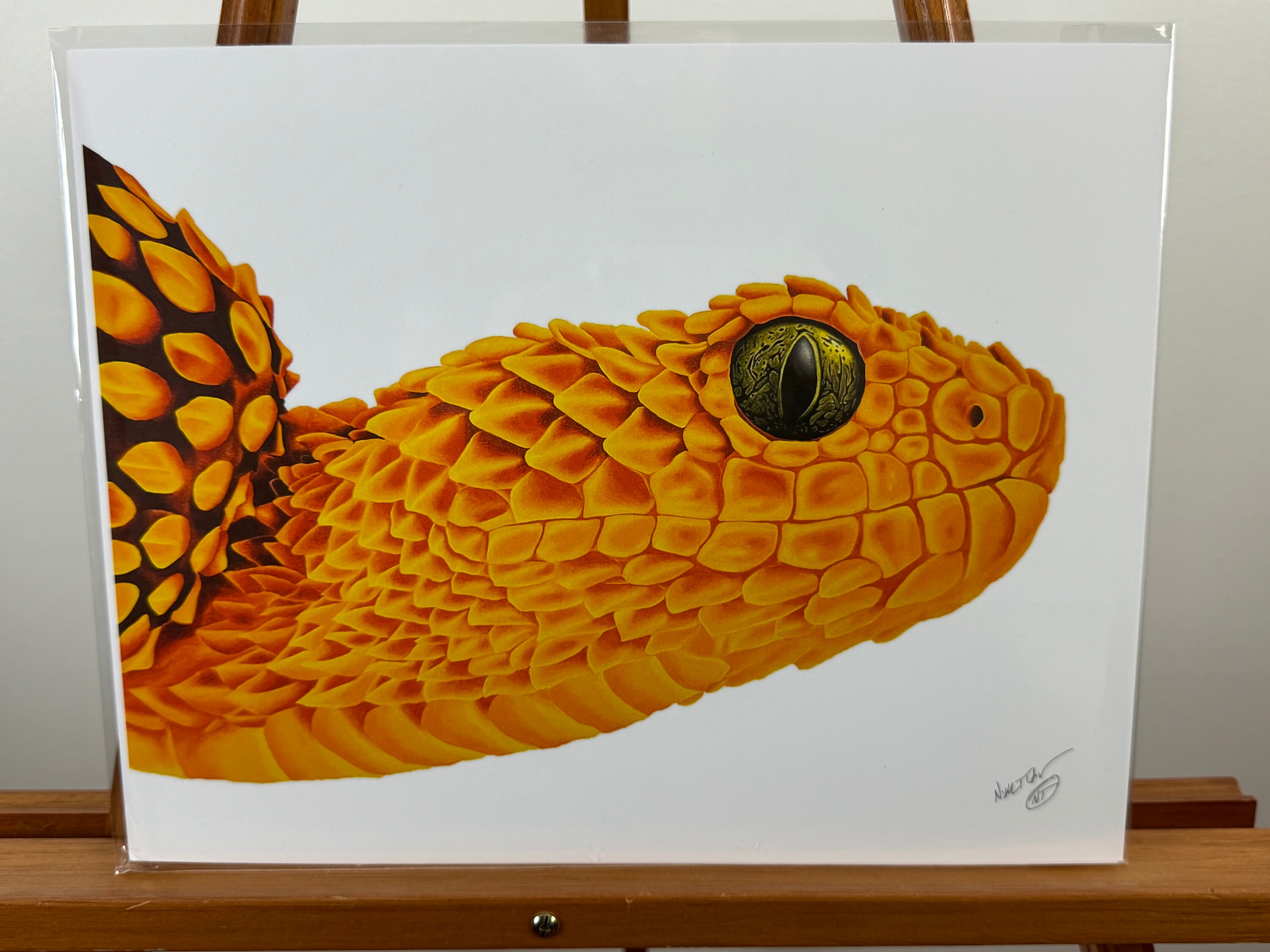 Golden Viper Original Art Print - Etsy