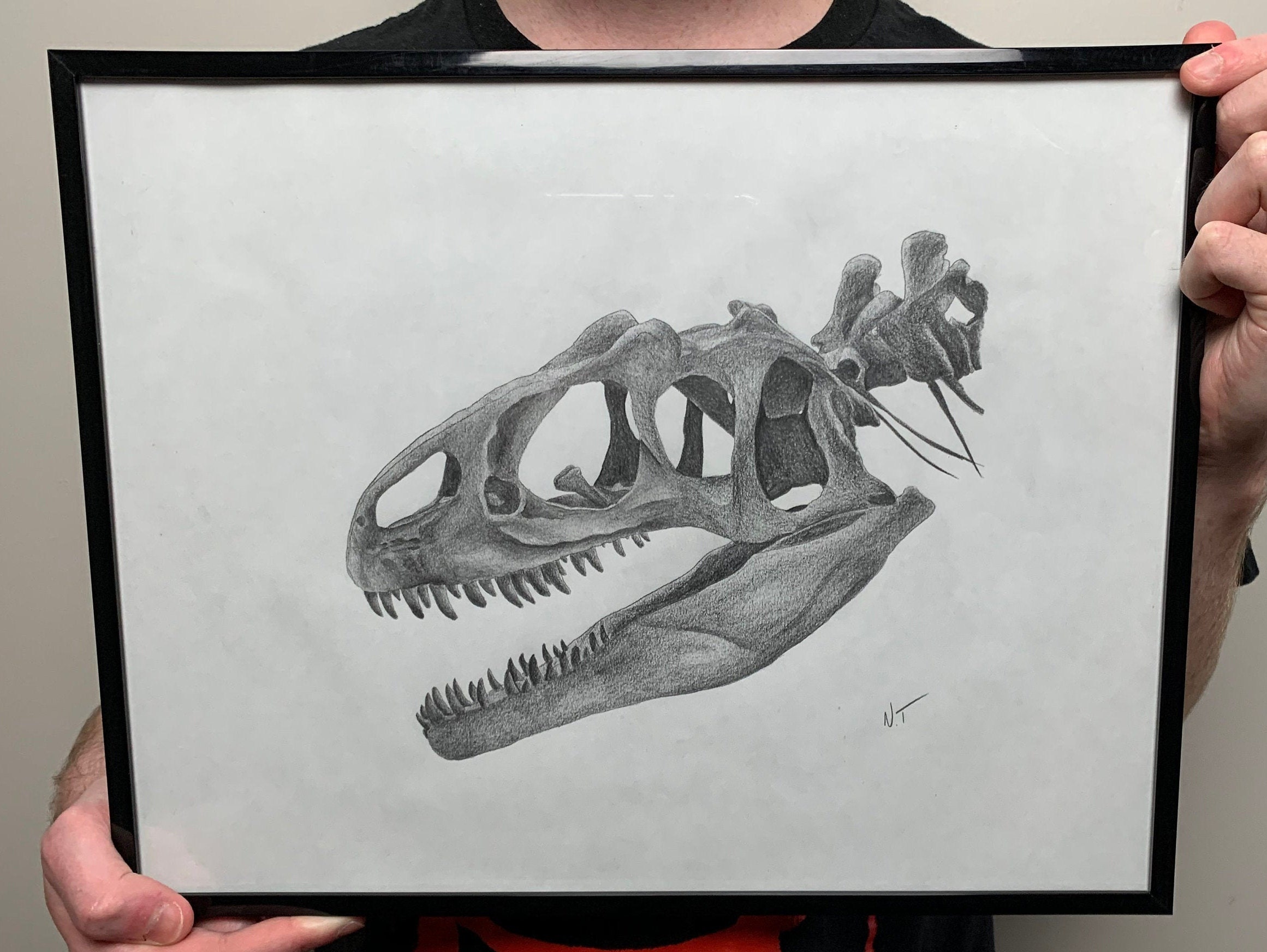 Dinosaur Allosaurus Skull Original Premium Graphite Sketch Art Piece - Etsy