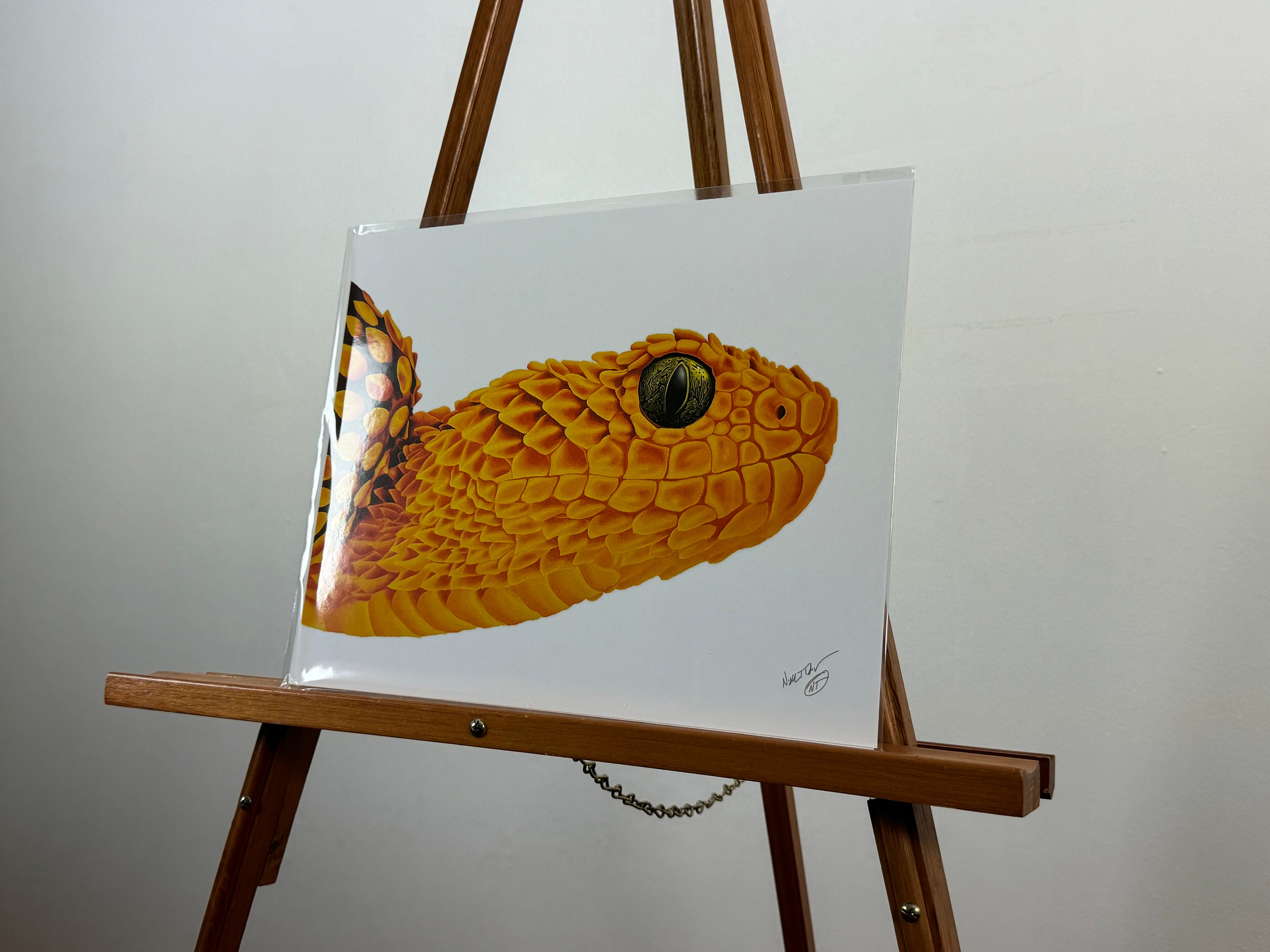 Golden Viper Original Art Print - Etsy