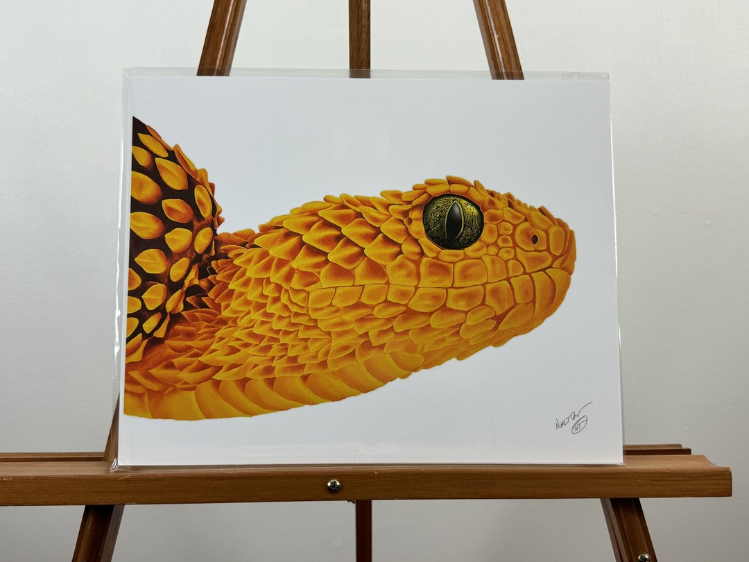 Golden Viper Original Art Print - Etsy