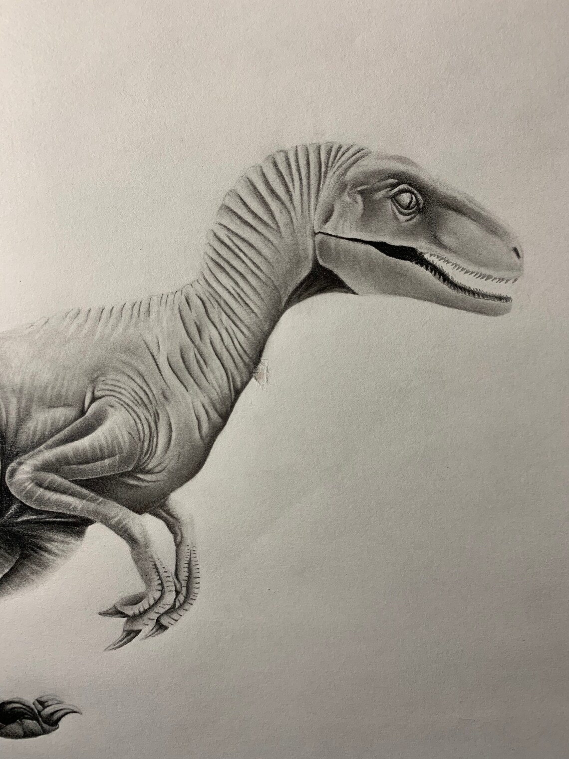 Dromaeosaur Raptor Original Graphite Art Piece - Etsy