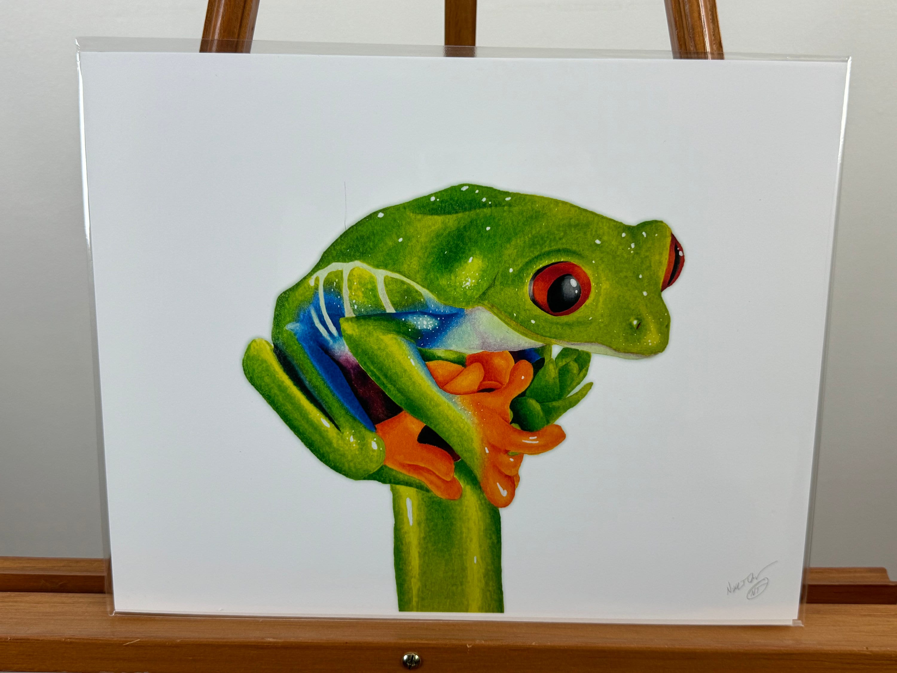 Green Tree Frog 1 Original Art Print - Etsy